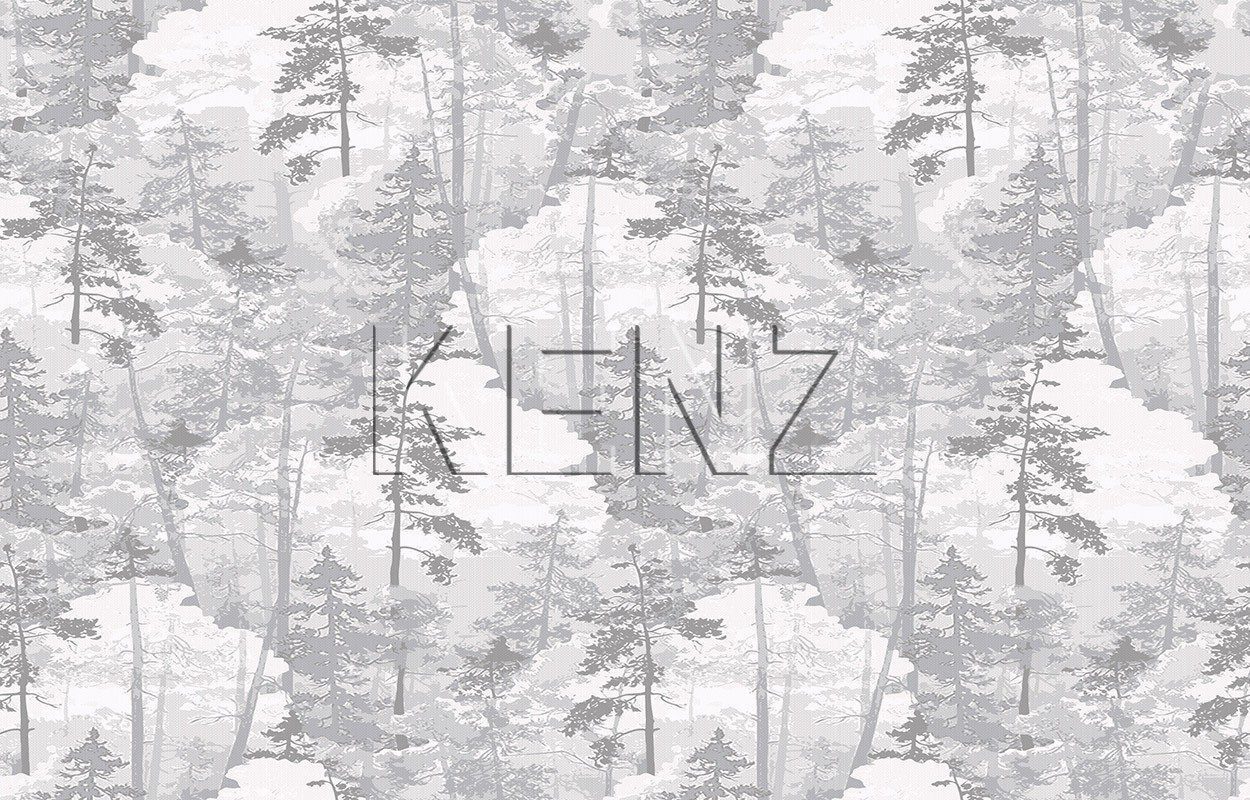 001, Am 2 - Saudi Kenz