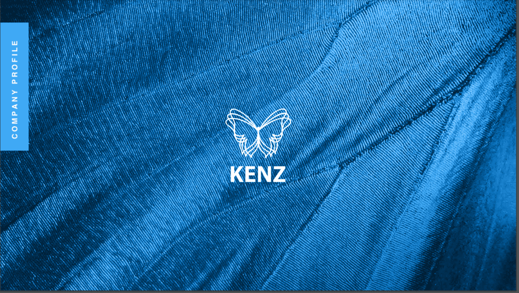 test bussiness - Saudi Kenz